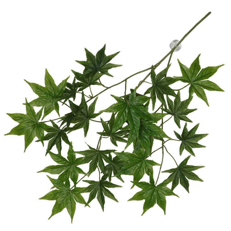 Planta Suspensa Canabis - 65 x 40 x 5 cm - Tortuga | Loja de Animais ...